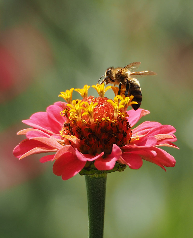 Ergänzende Heilweisen - Feldenkrais® Andrea Reindl